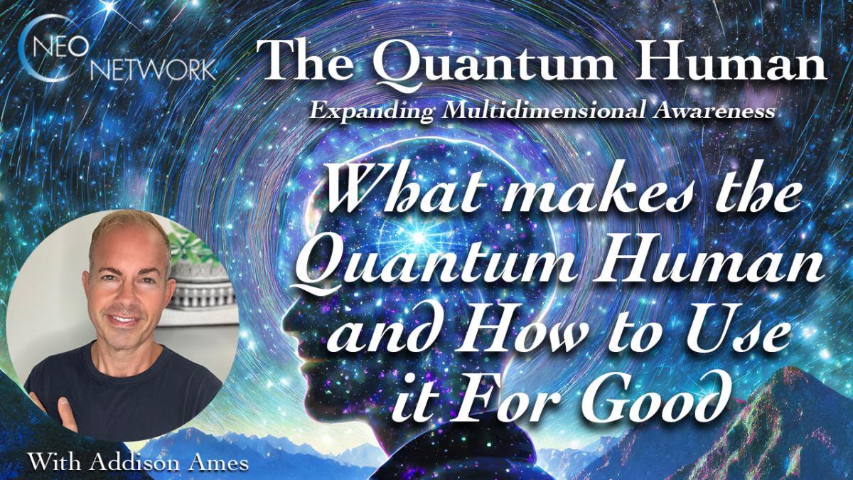 The Quantum Human | What Makes the Quantum Human and How To Use it For ...