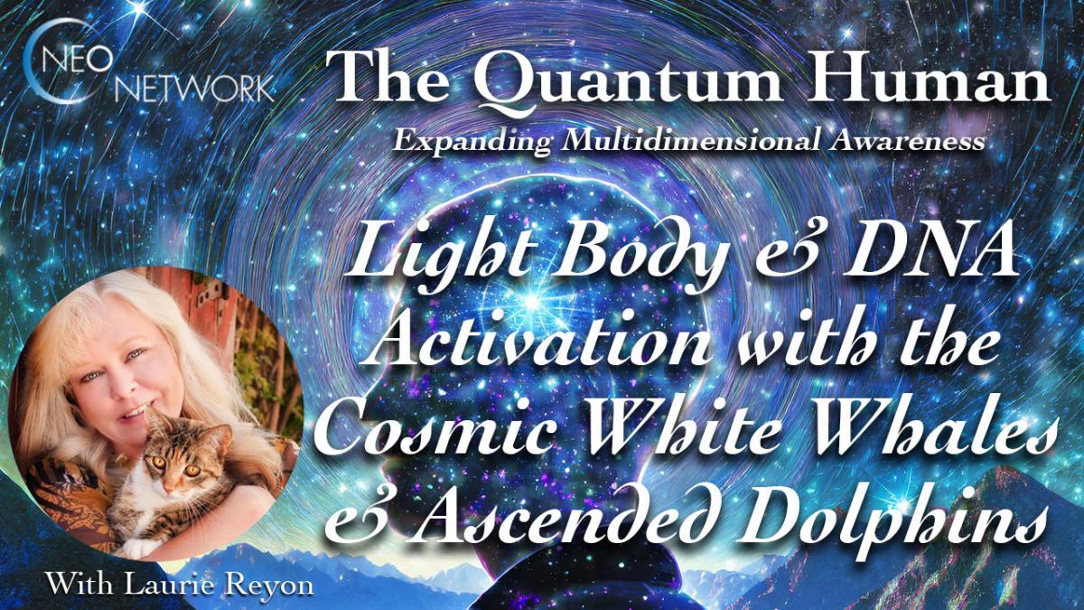 The Quantum Human | Light Body & DNA Activation with the Cosmic White ...